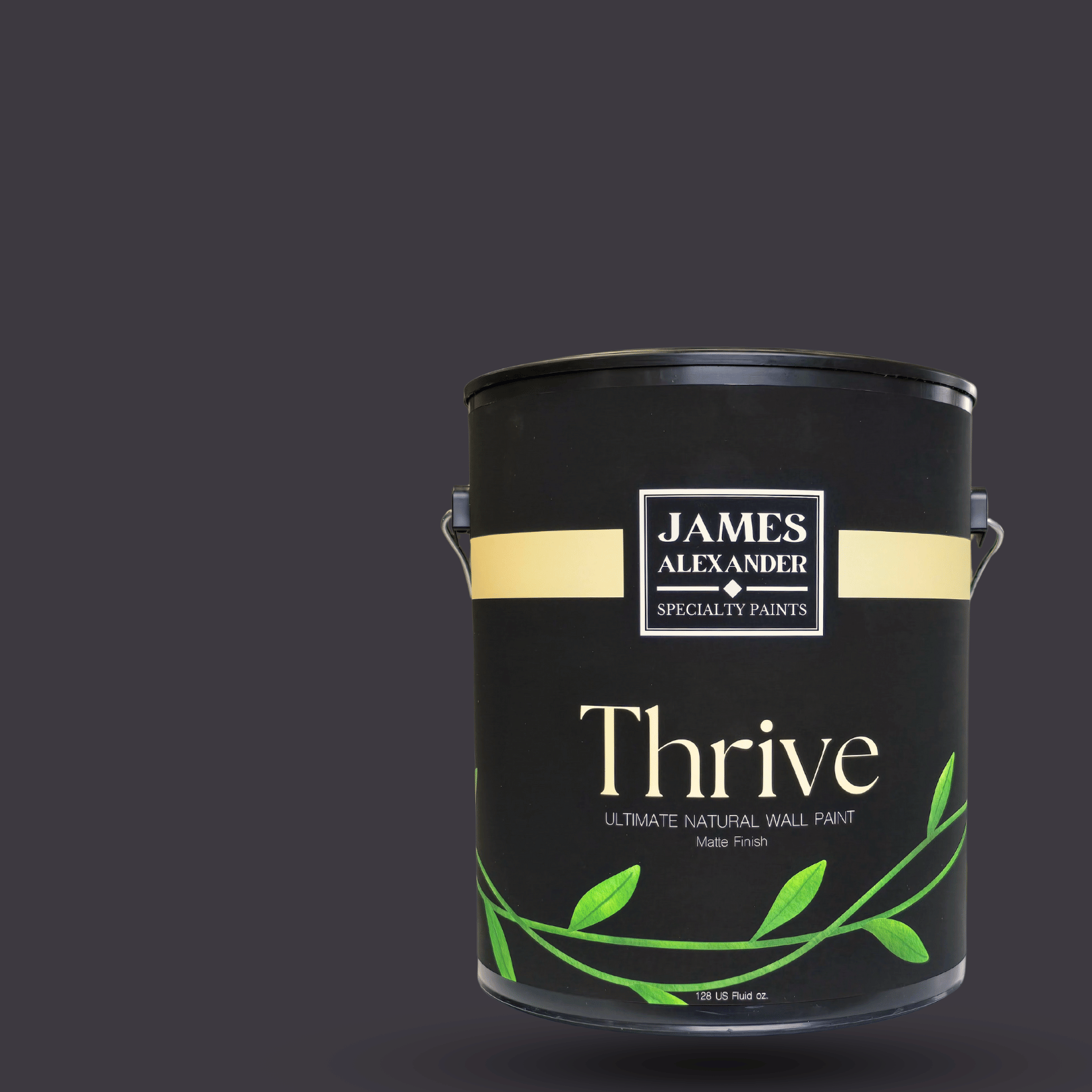 Plum Noir - Thrive Natural Interior Paint – Shop Interior Paints Online ...