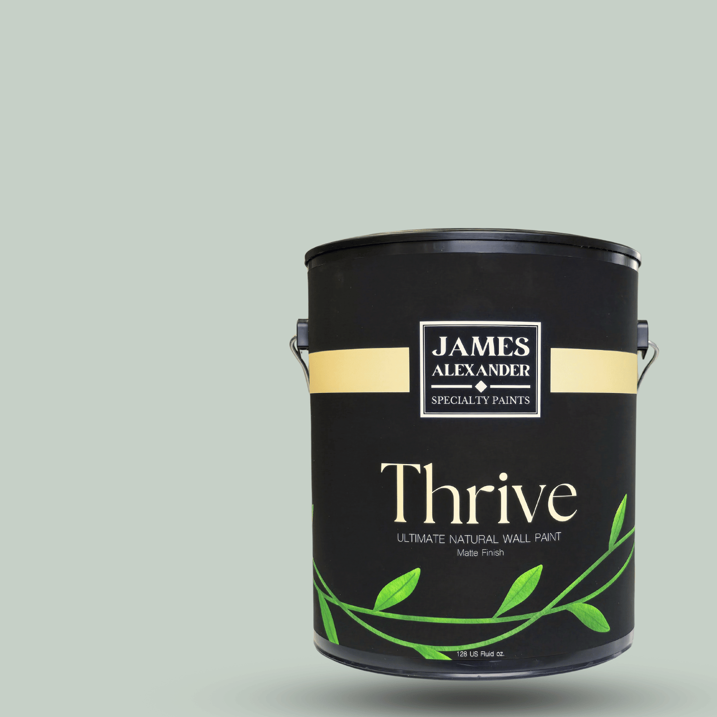 Thrive Natural Wall Paints